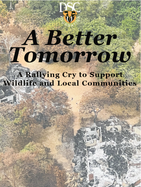 "A Better Tomorrow" Campaign Update - DSC Foundation